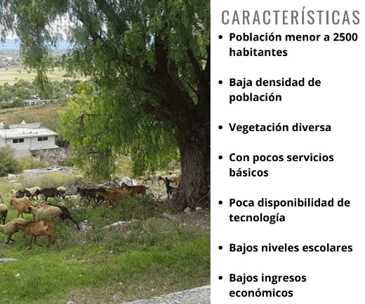 Características de las localidades rurales - Geografía Cuarto de ...